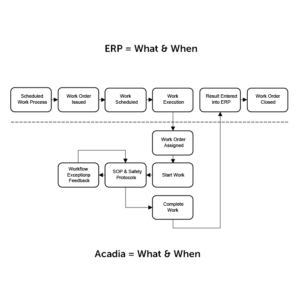 Expert Workforce, Agile Enterprise - Acadia Software